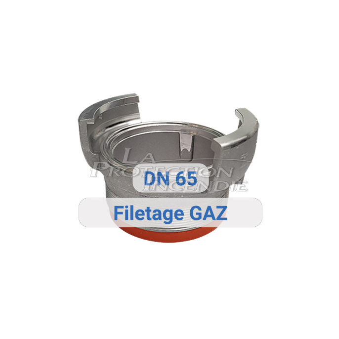Symmetrical socket - gas thread - DN65 PAM